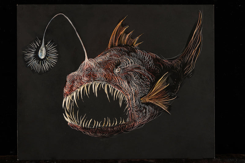 Deep Sea Anglerfish Drawing
