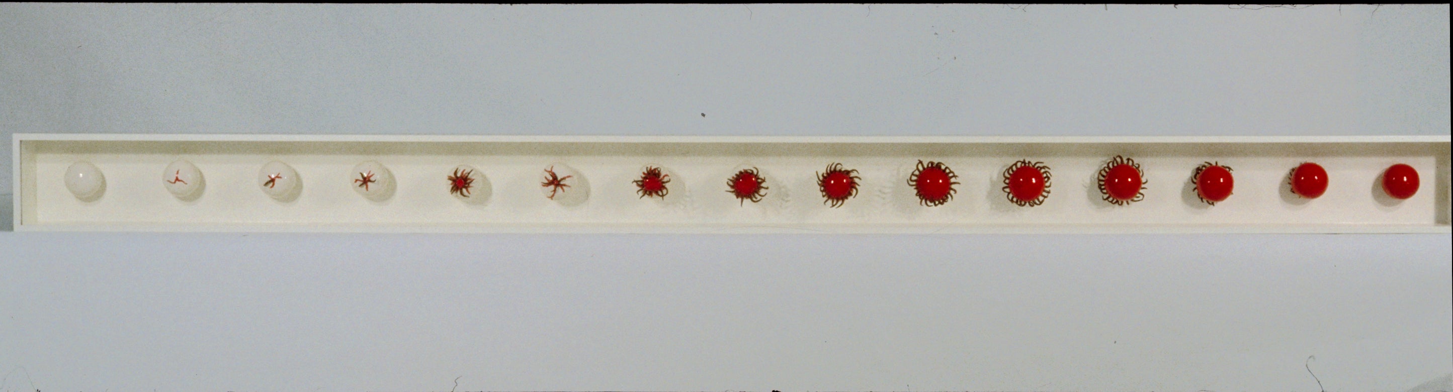 Evolution I – Drawing Room SF