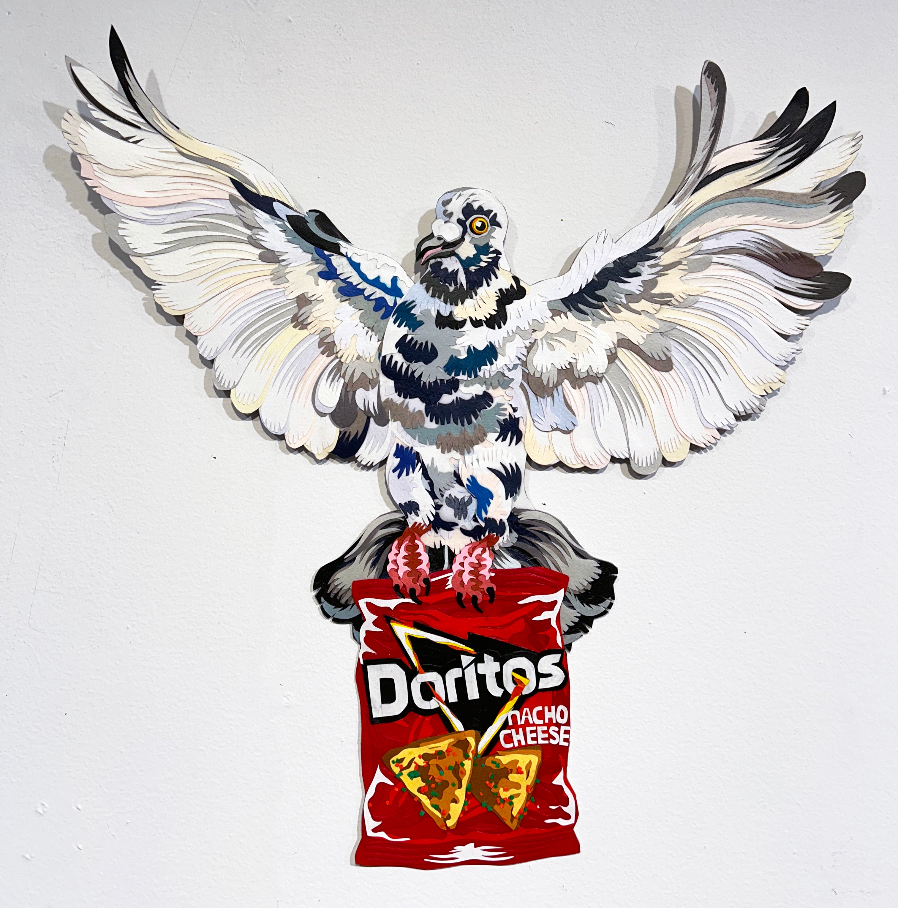 Doritos Pigeon – Drawing Room SF